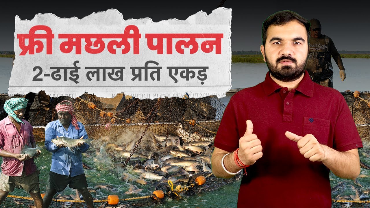 कम खर्चे में मछली पालन | Indian major carbs | IMC fish Farming ...