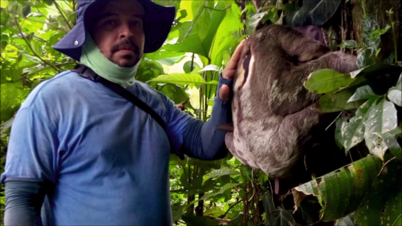 Minutos Conexión BioCaribe l Voces Conexión BioCaribe - YouTube