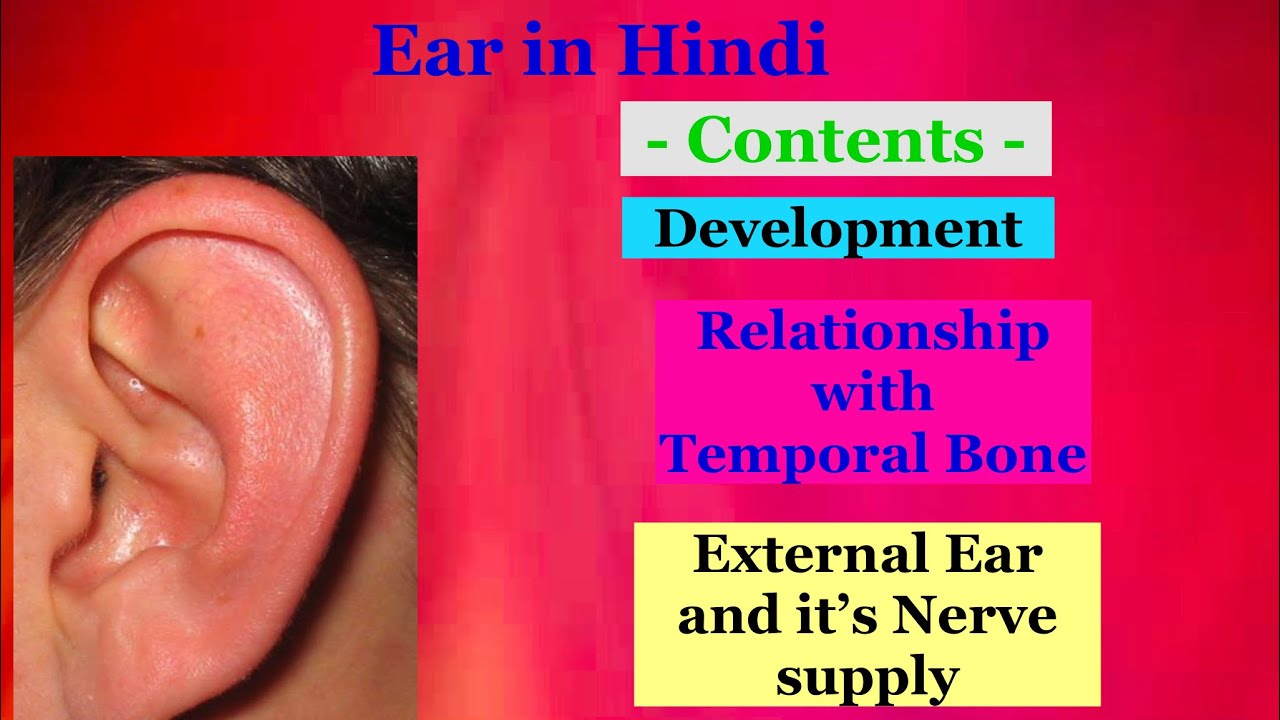 Structure of external ear in Hindi - YouTube