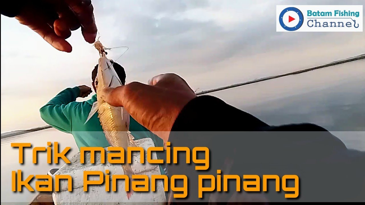 Trip mancing dari malam sampai pagi || Target ikan pinang pinang - YouTube