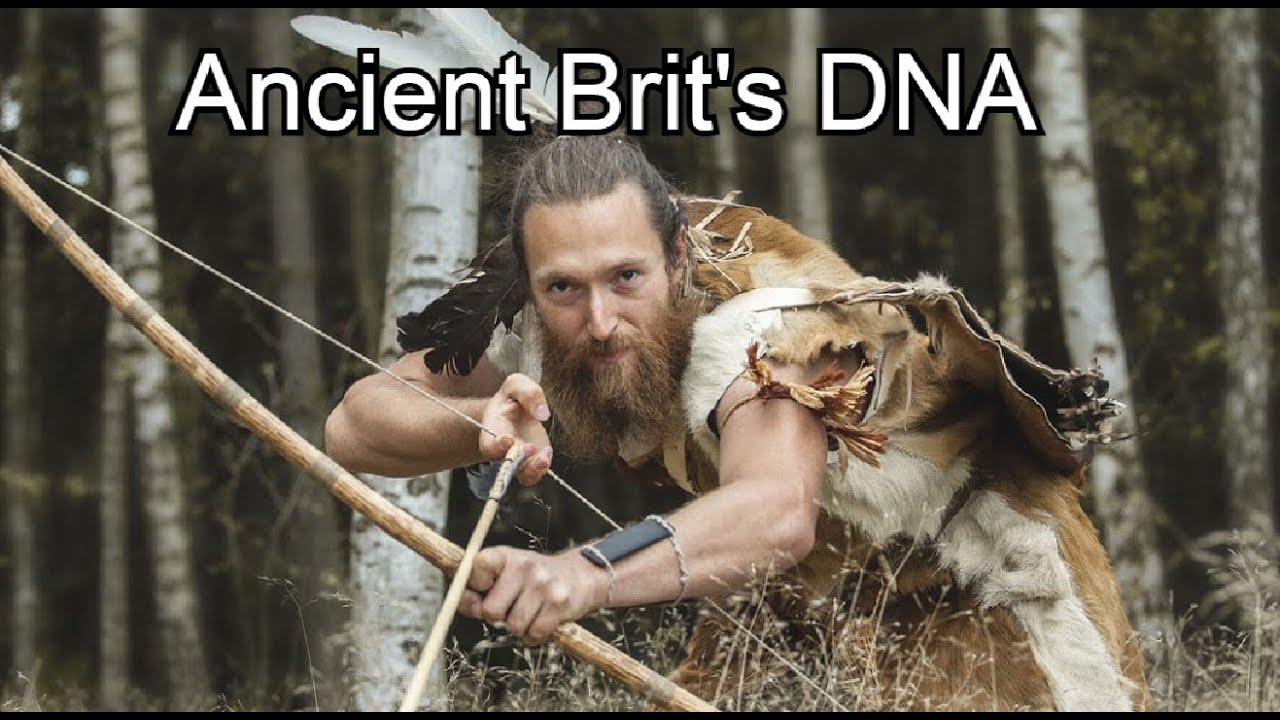 DNA + Traits of a Bell Beaker (I2445) - YouTube