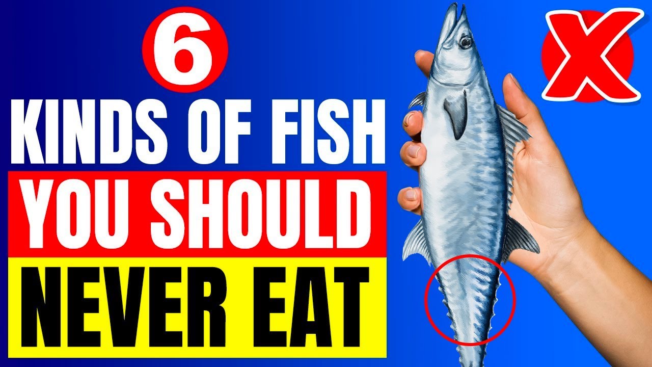 6 Kinds of Fish You Should Never Eat (STOP NOW) - YouTube