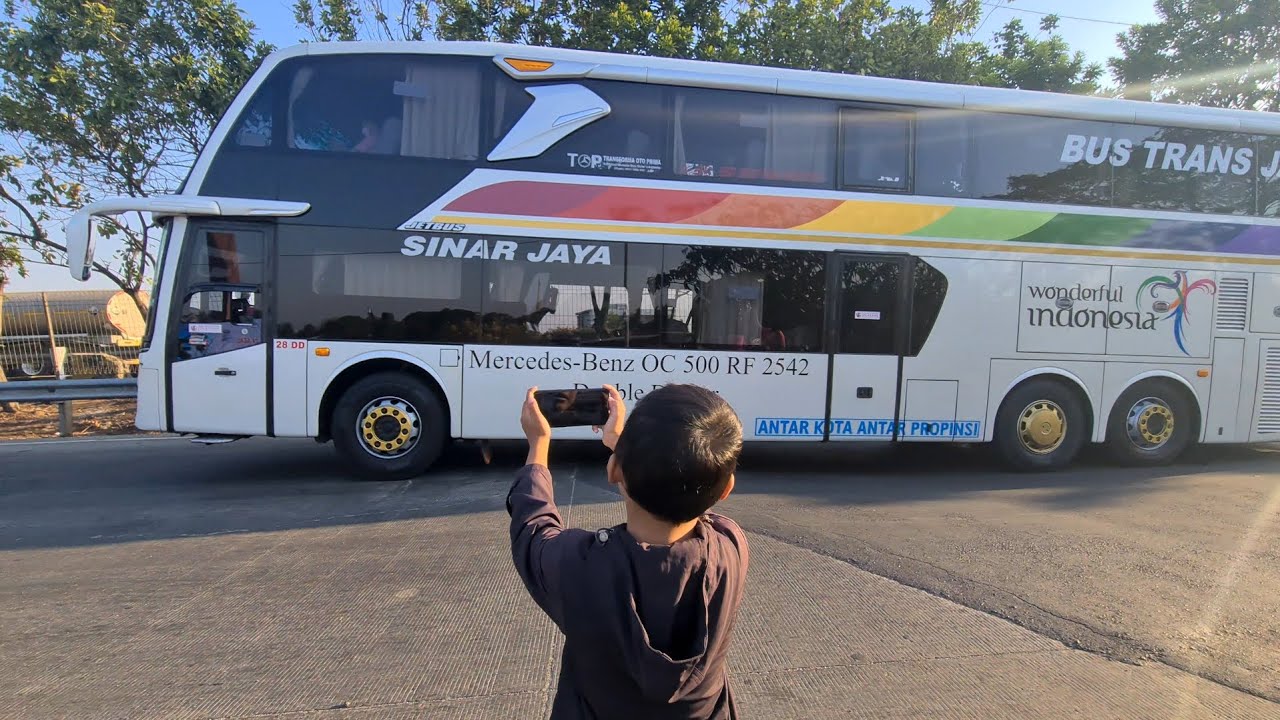 PESONA BUS BASURI BUS STROBO KEREN KEREN #bocahngeyel #bus #bisbasuri # ...