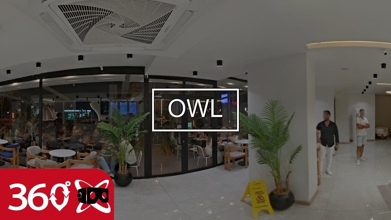 OWL | This is 360 VR Video - YouTube