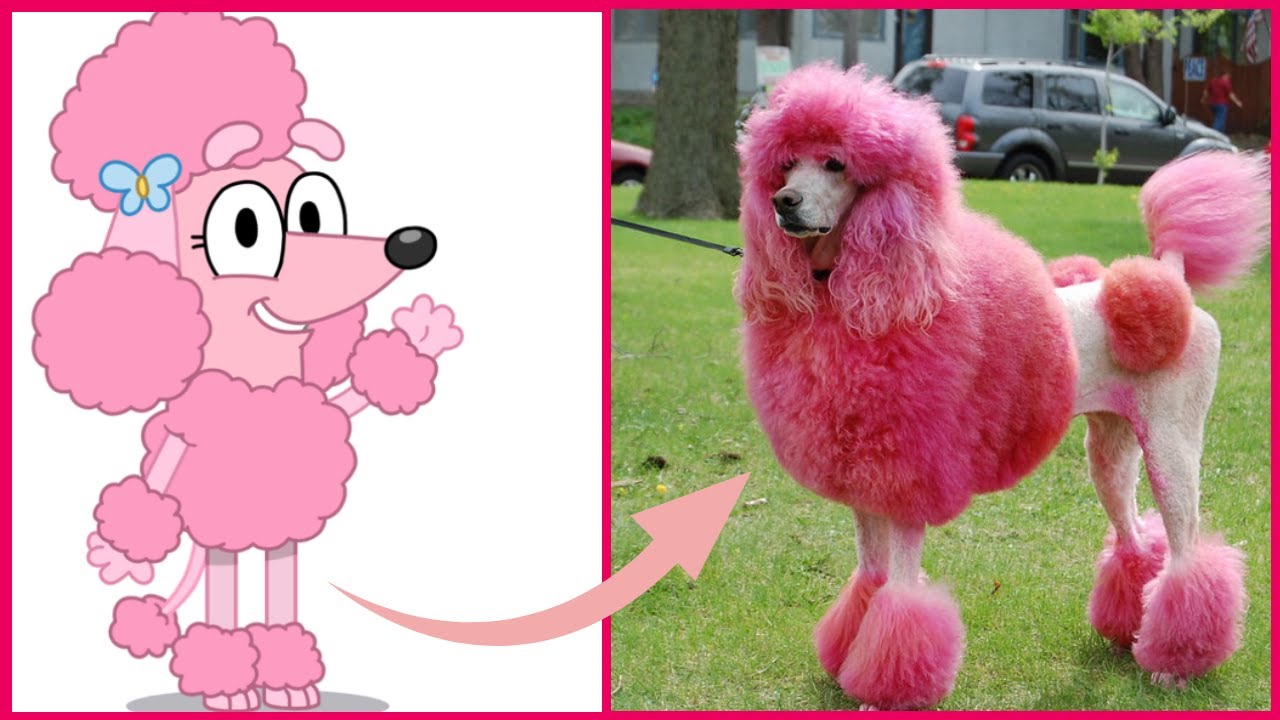 Bluey 🔥 In Real Life All Characters 😱 - YouTube