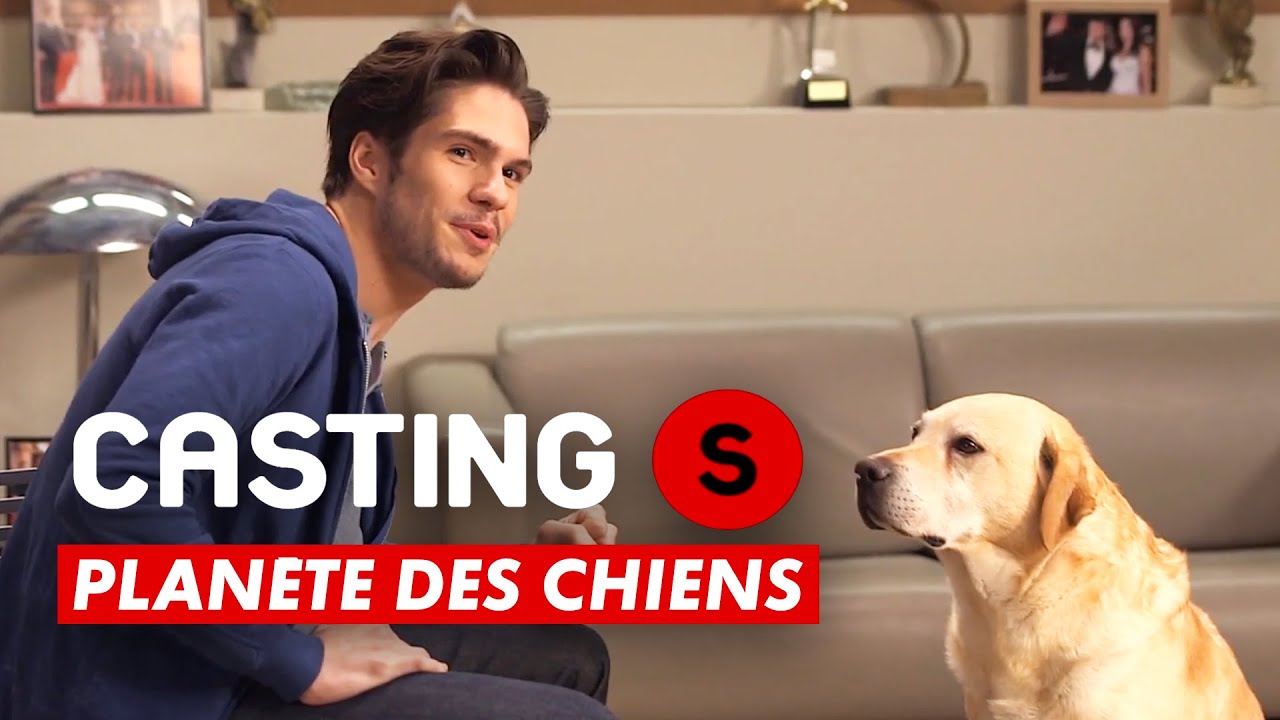 CASTING(S) : Planète des chiens - YouTube