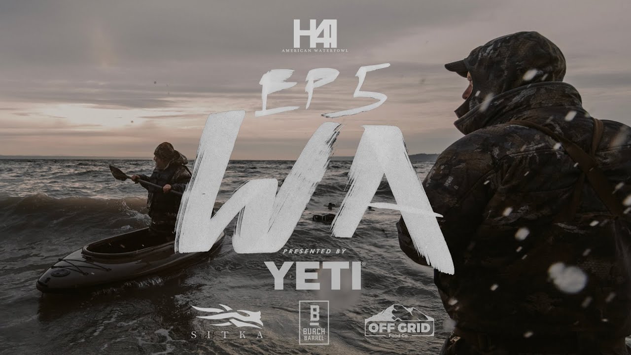 H41 - EPISODE 5: WASHINGTON - YouTube