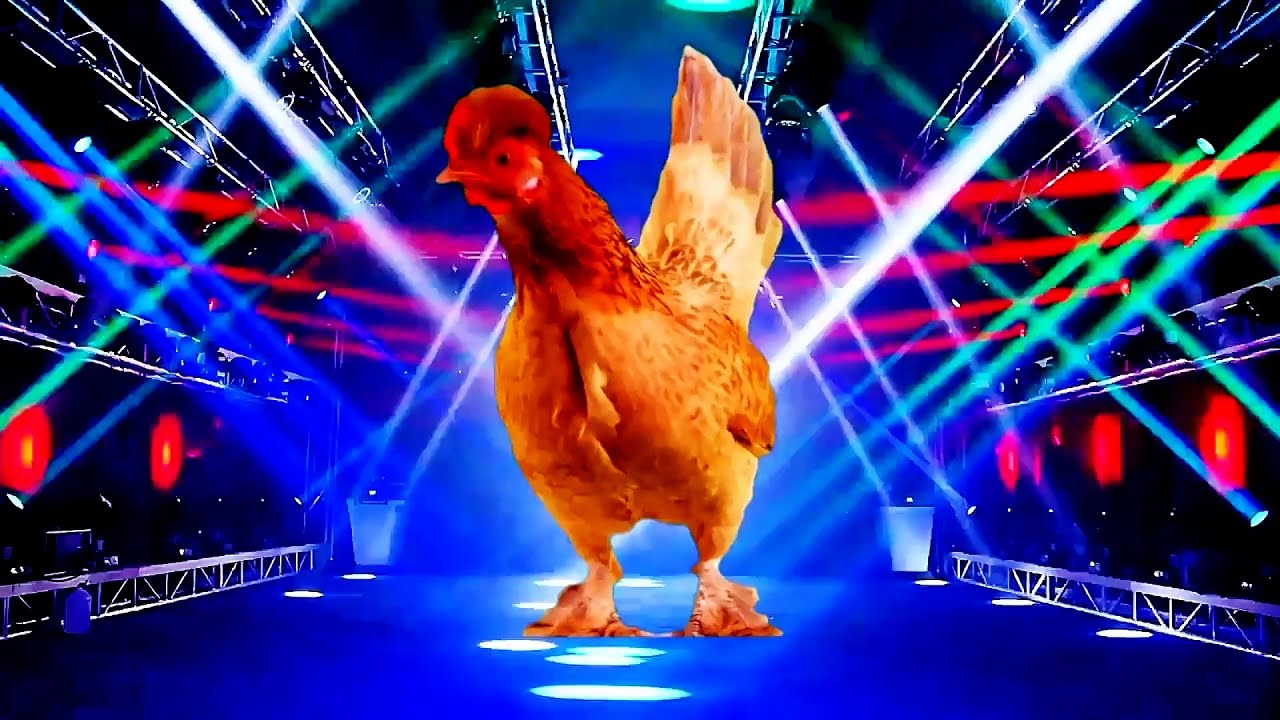 Super Rooster Chicken Dance (Chicken Song) - YouTube