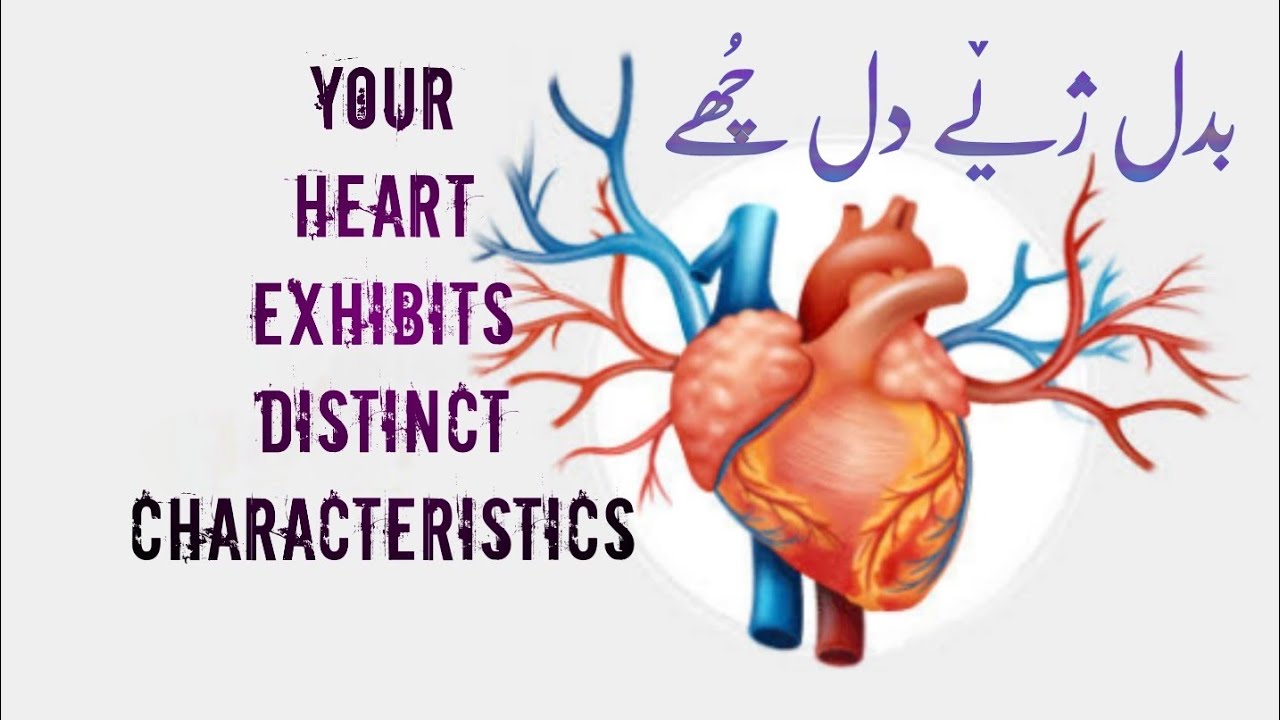 Badal Che Dil Chi (Your Heart Is Different) | Badal Cxe Dil Chui ...