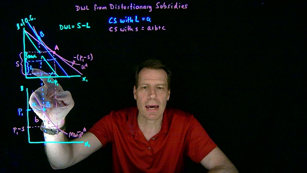 10.2.DWL from Distortionary Subsidies - YouTube