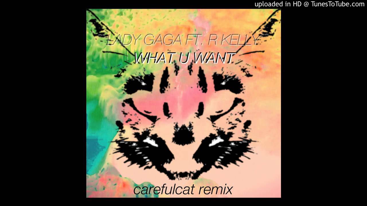 Lady Gaga - Do What U Want ft. R Kelly (Careful Cat Remix) - YouTube