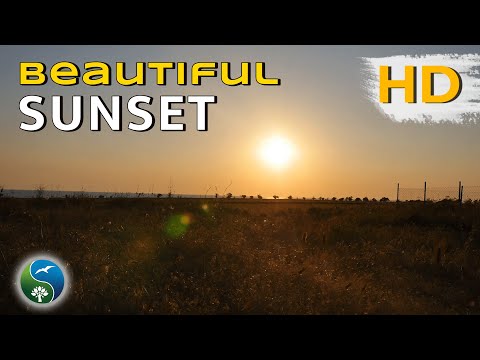 Gün Batımında Güneş, Alanı Işınlarla Yavaşça Aydınlatır | Güzel Müzikle Rahatlayın