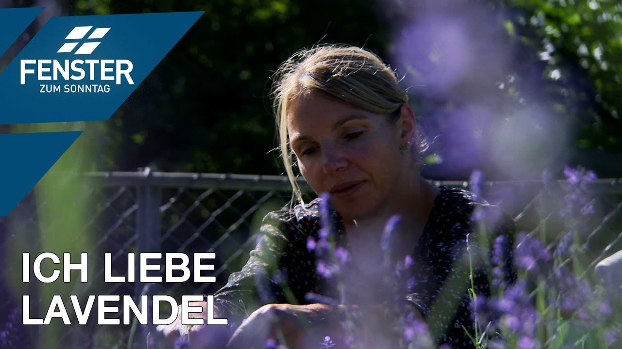 Ich liebe Lavendel (Erika Arnold) - YouTube