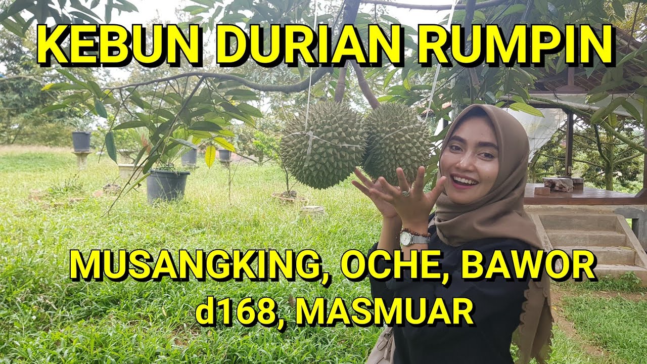 tempat makan di rumpin bogor - Kulinerpat Media Video