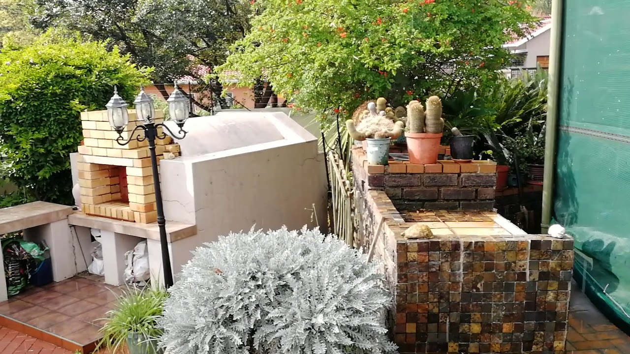 Monkeys getting married - This is what they call it in South Africa ...