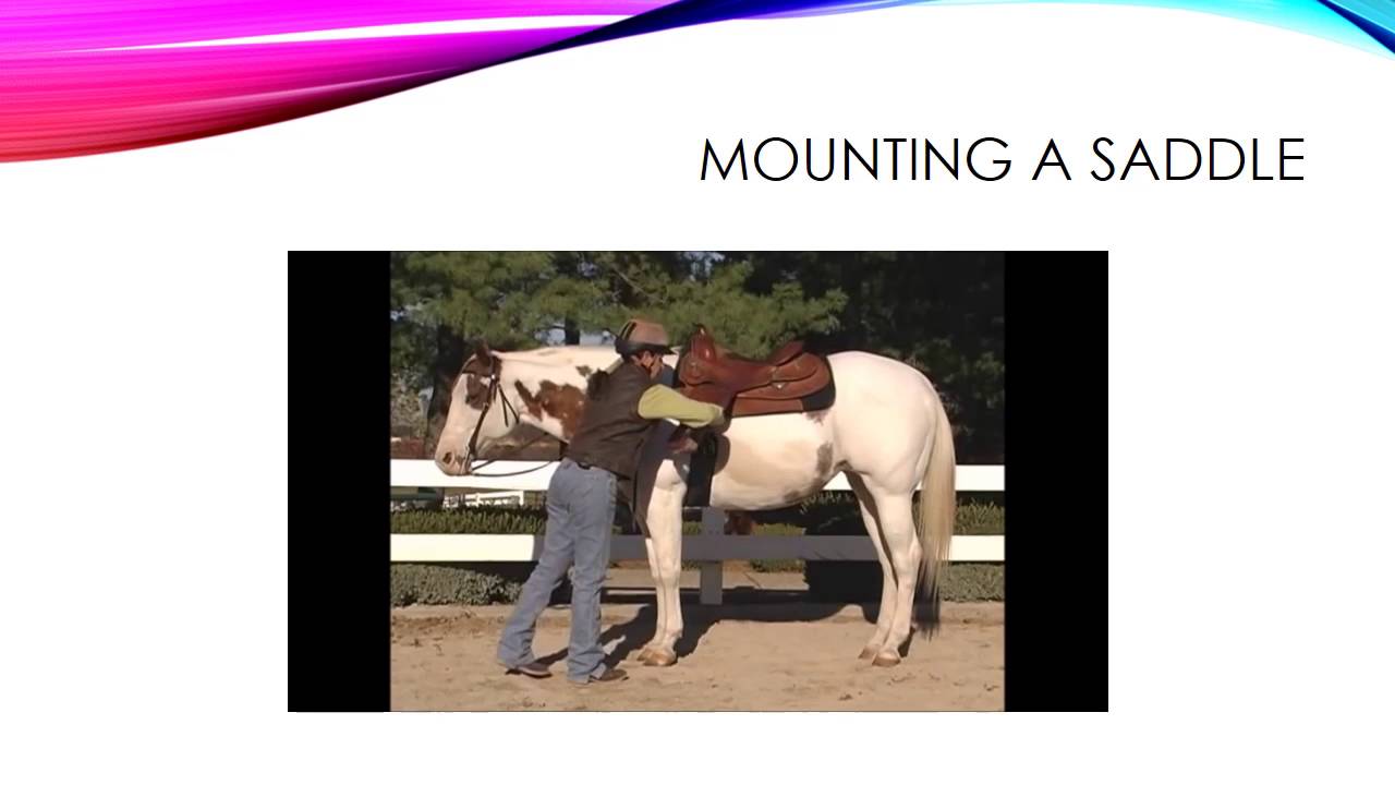 How to mount a horse - YouTube