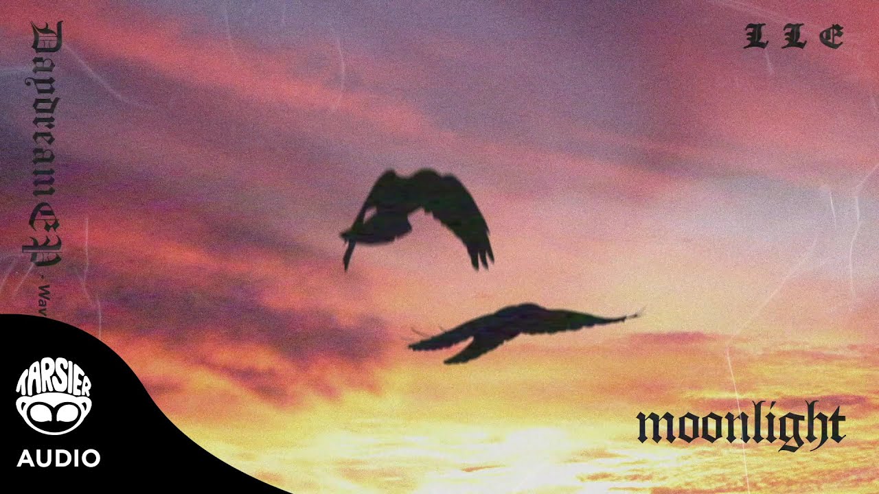 moonlight - Wav Runr [Official Audio] - YouTube Music