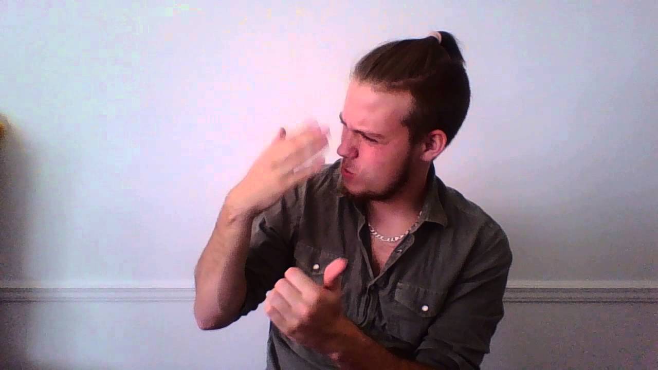 Wolf and dog ASL video - YouTube