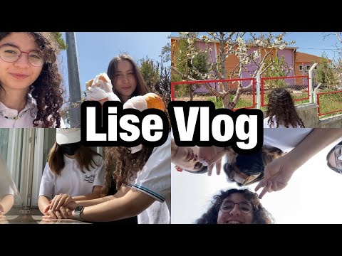 Lise günleri serisi (9. sinif) bölüm bilmem kaç bin (OKUL VLOG)