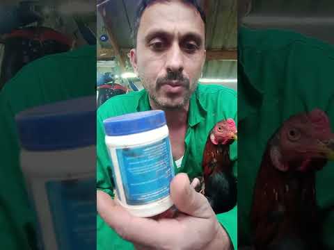 musabaka öncesi yapılacak islemler