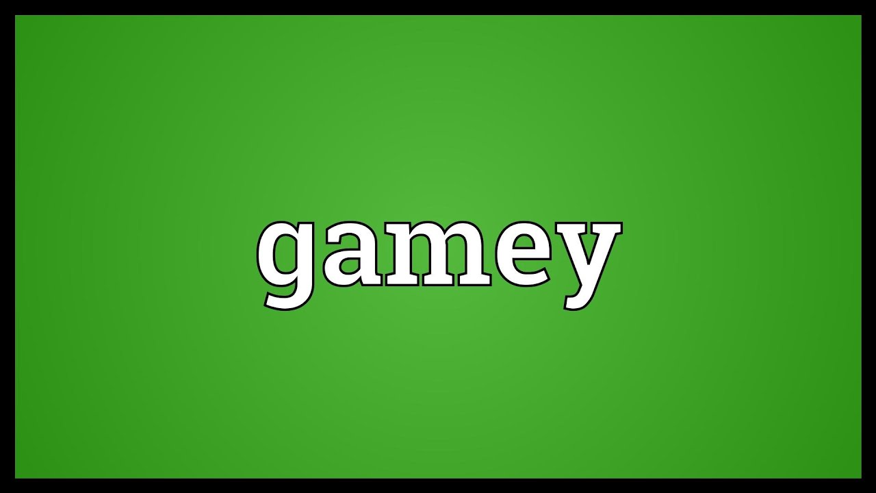 Gamey Meaning YouTube gamey-meaning-youtube