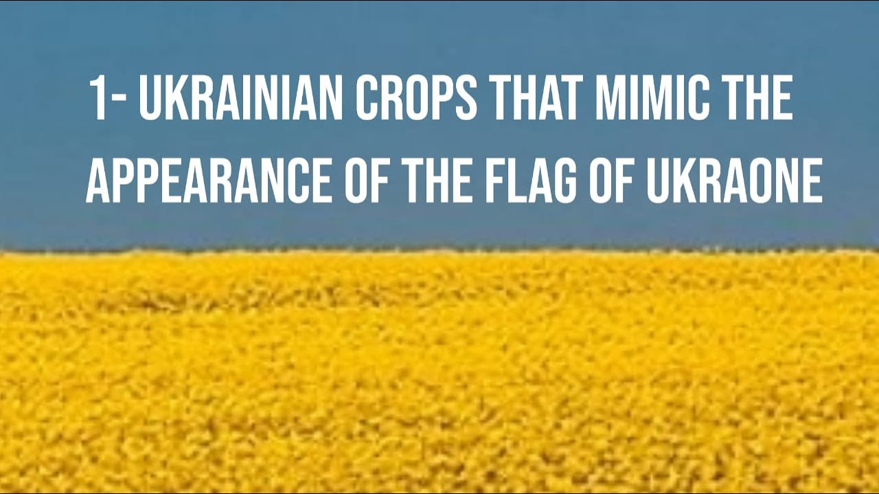 10 Fun Facts About Ukraine - YouTube