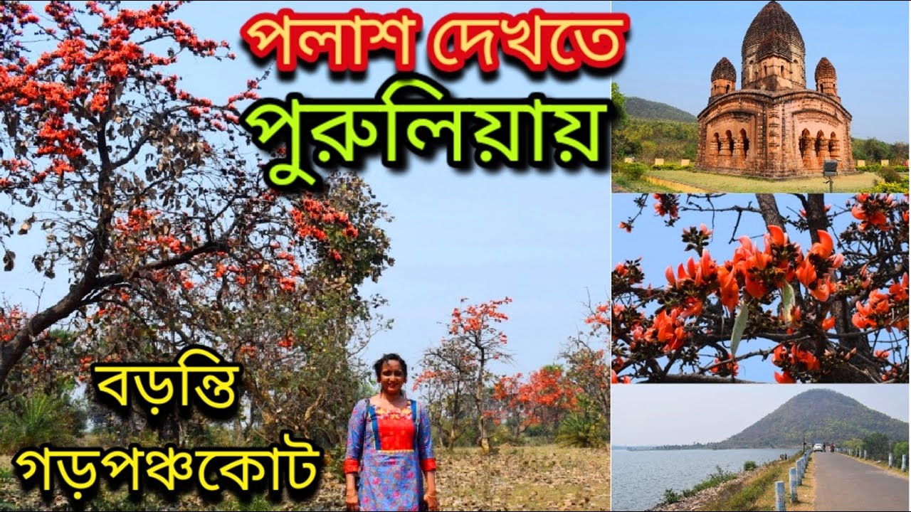 Basante Palash | Tour to Purulia | Baranti and Garhpanchakot | Purulia ...
