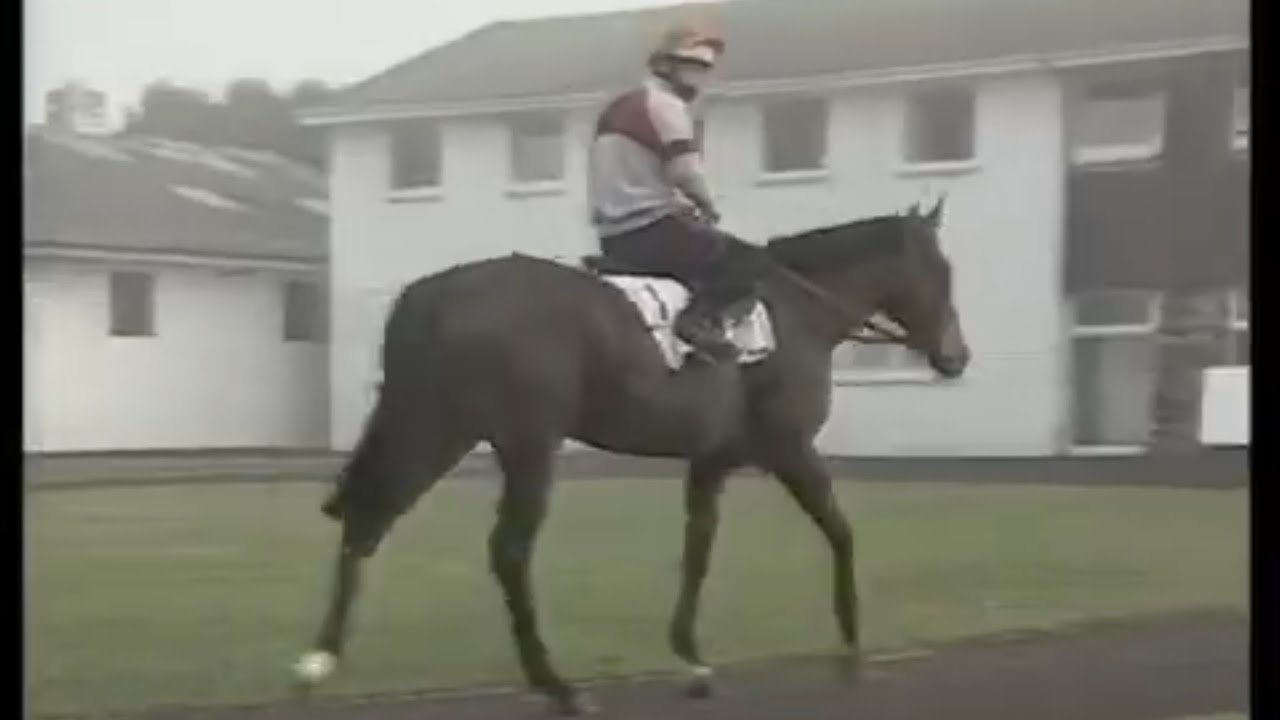 Dancing Brave Documentary Racing Legend. - YouTube