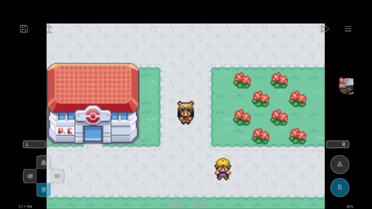Playthrough! Pokemon bidoof version pt1 - YouTube