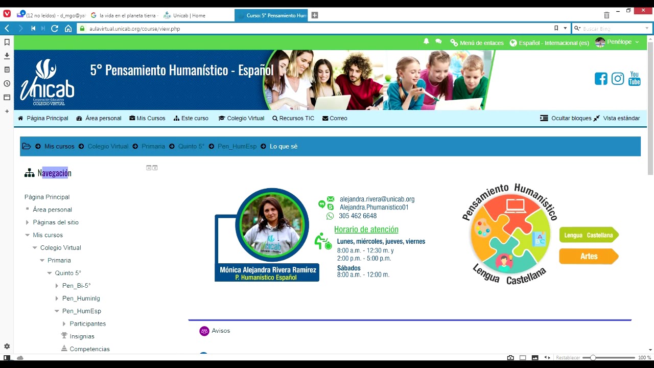 Consultar las notas en la plataforma del colegio virtual UNICAB - YouTube