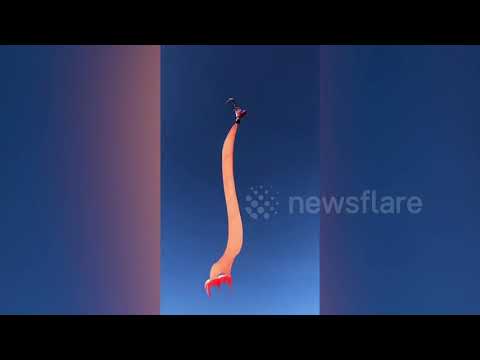 Three-year-old girl carried away by kite during festival in Taiwan