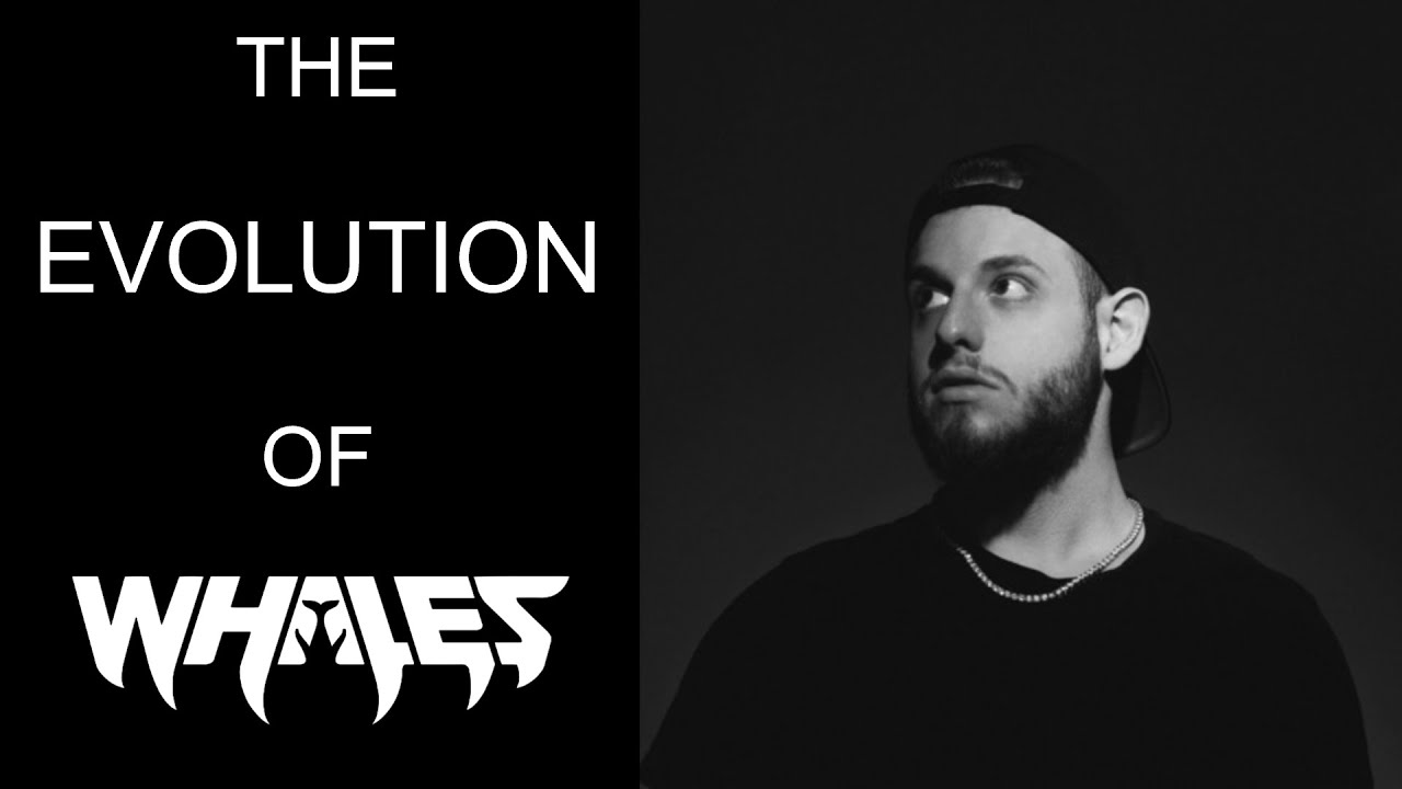 The Evolution Of Whales/Sex Whales (2014 - Present) - YouTube