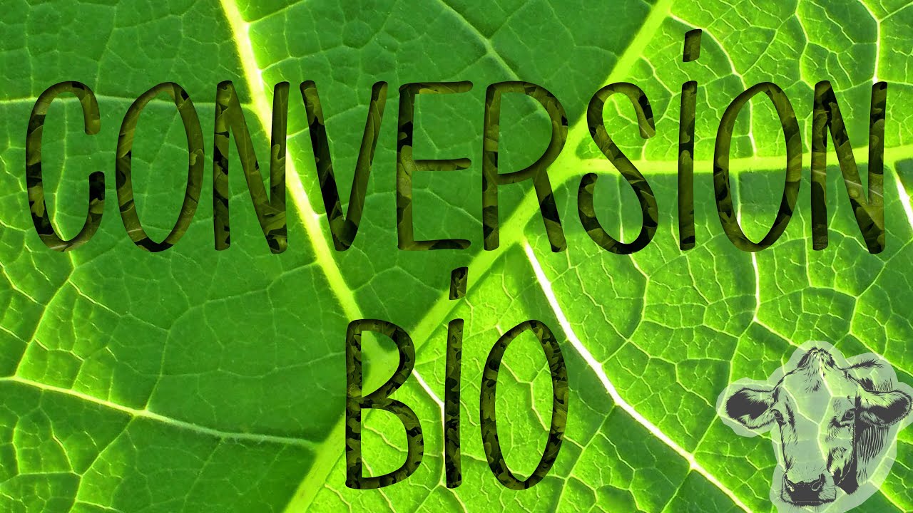 CONVERSION BIO : témoignage n°2 - YouTube
