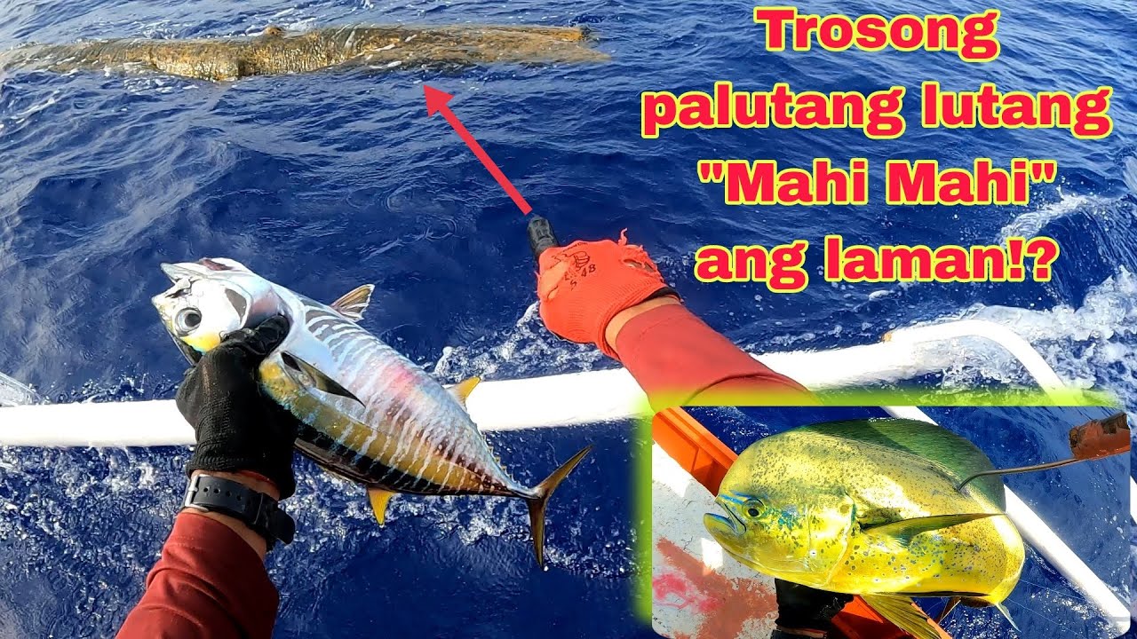 Part49 Pacific adventure | Trosong palutang lutang "mahi mahi" ang ...