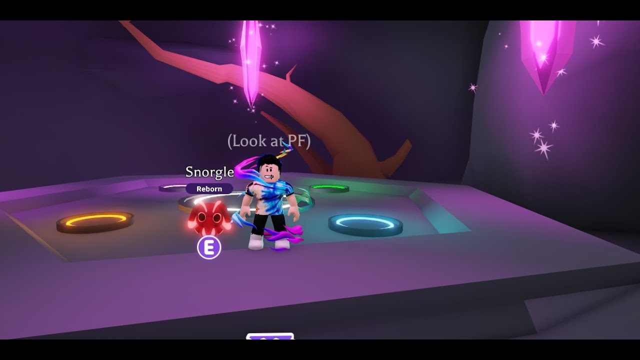 I made a Neon Snorgle in Adopt Me! - YouTube
