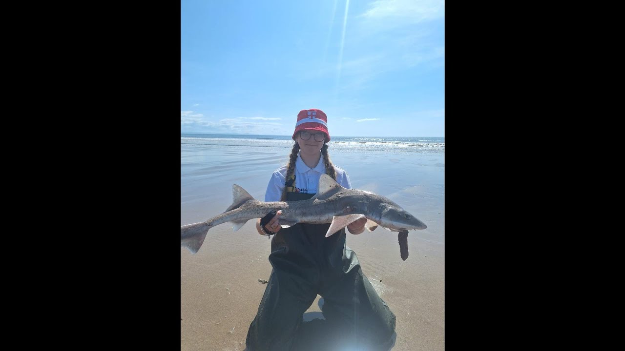 Hound fishing Morfa Beech South Wales Bristol Channel - YouTube