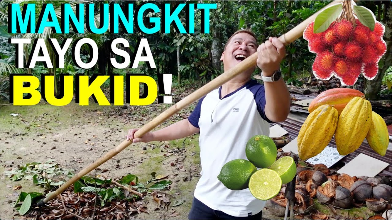 Ep#149 MANUNGKIT Tayo Ng RAMBUTAN!🇵🇭😁 PITAS Na Din Tayo Ng LEMON(Lime yata) At CACAO. - YouTube