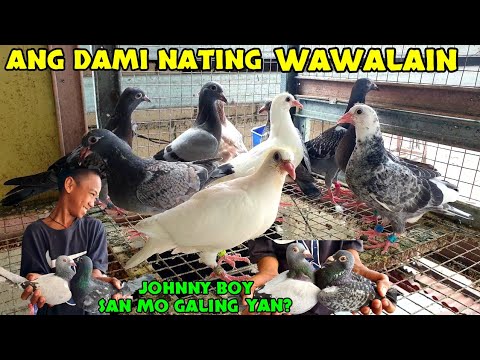 JOHNNY BOY MAY DALANG MAGANDANG IBON - YouTube