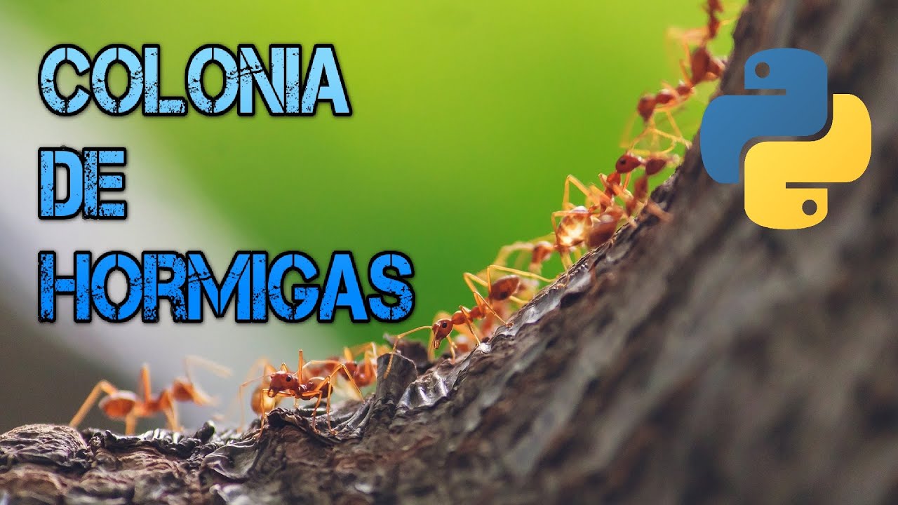 Algoritmo de la colonia de hormigas con Python - YouTube
