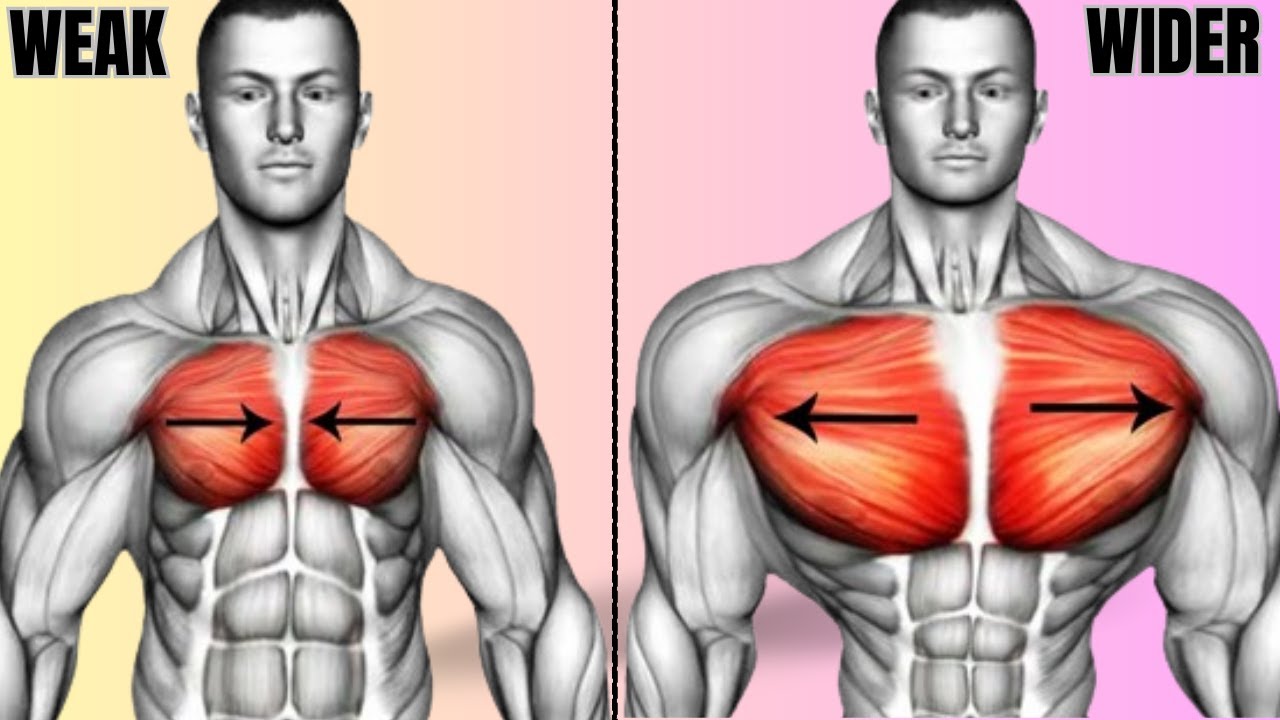 Top 5 Chest Workout: Build a Stronger Upper Body - YouTube