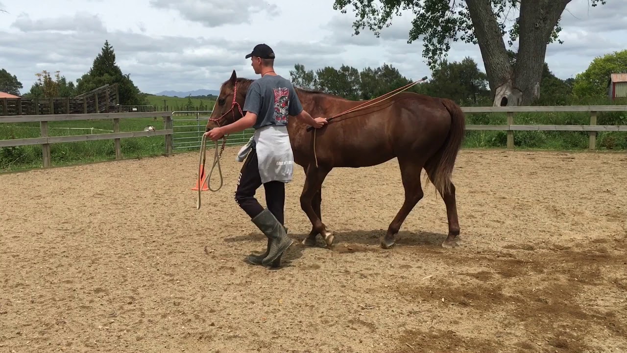 Cole Mitchell -level 1 - YouTube