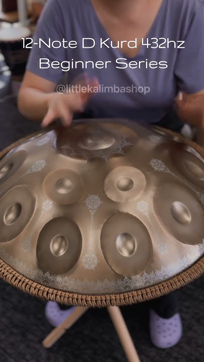 Sound Test For Beginner Handpan 12 Note D Kurd Handpan Beginners