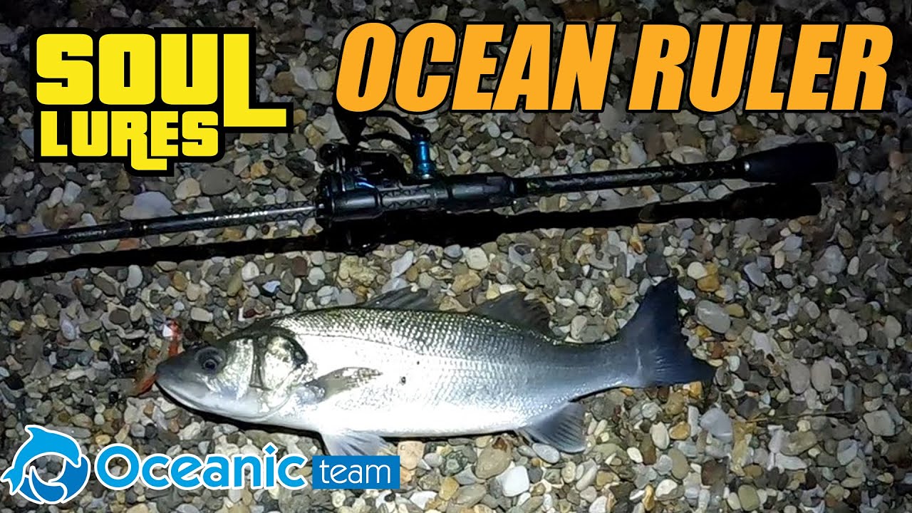 Έτρωγαν μόνο Ocean Ruler!🐟🍑 Βραδινό Light Spinning στο λιμάνι - YouTube