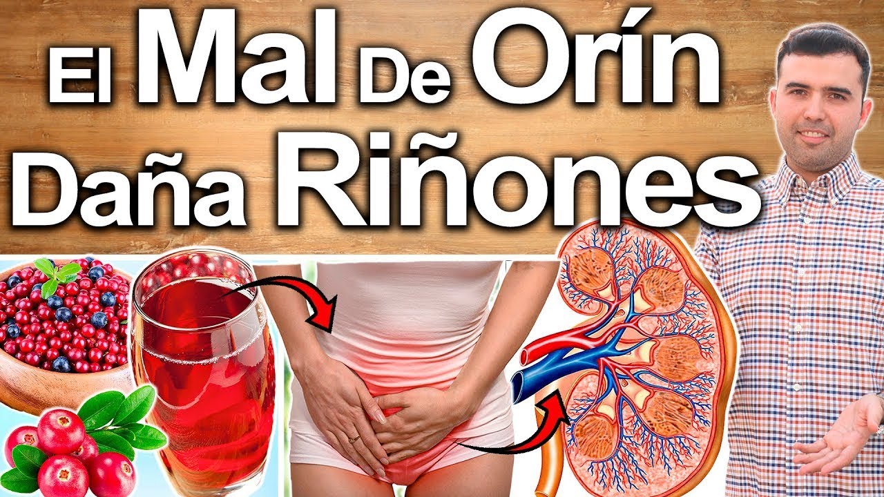 Tienes Infección Urinaria Y No Lo Sabes - Síntomas De Mal De Orin Que ...