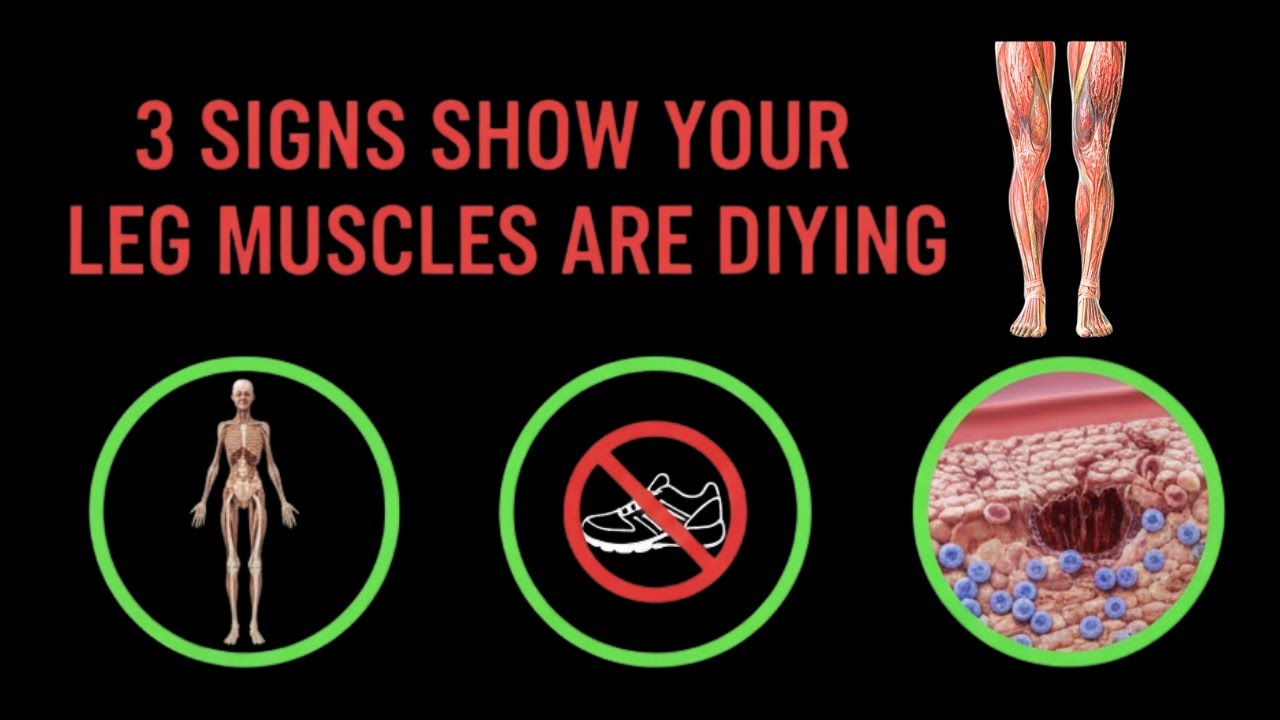 3 Signs Show your Leg Muscles are Dying | Symptoms Health - YouTube