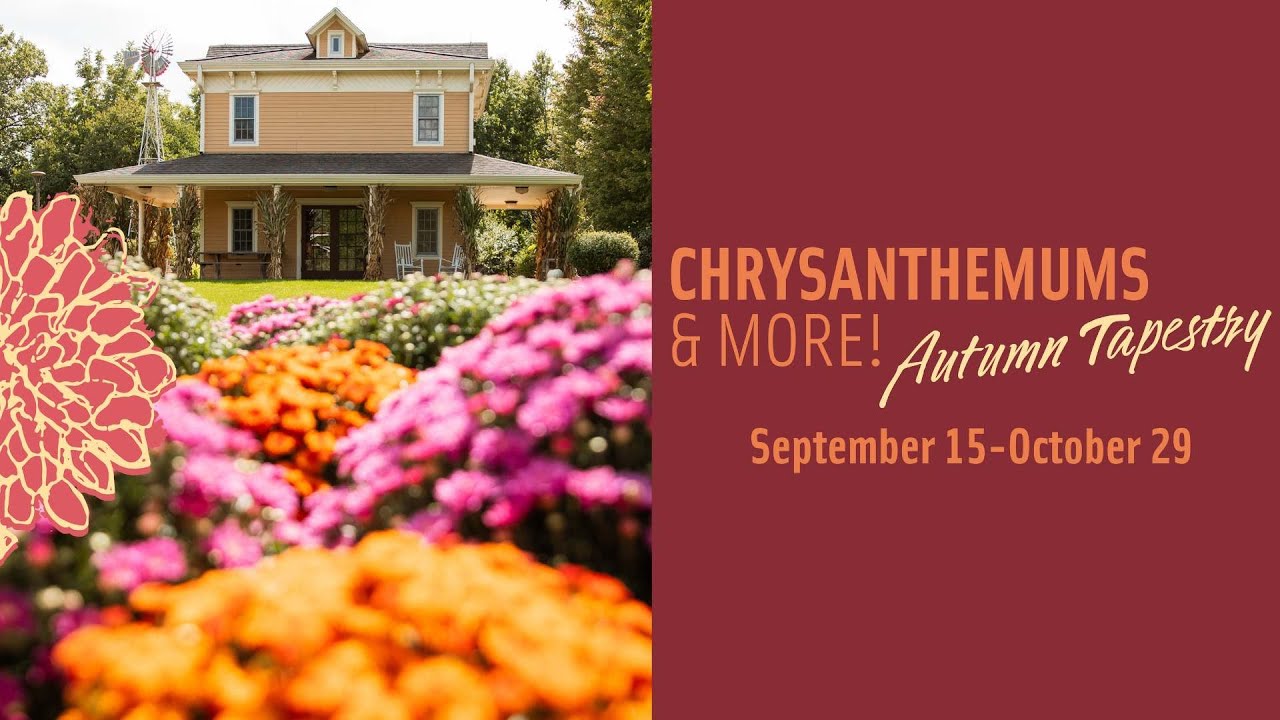 Autumn Tapestry | Introduction - YouTube