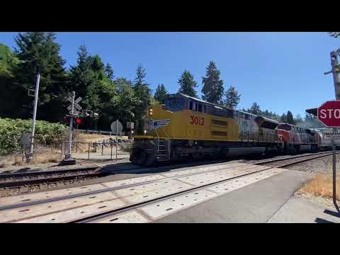 (Northbound) UP Tier 4 SD70ACE 3012 leads a Mixed Freight Train through Sunnyside Beach. - YouTube