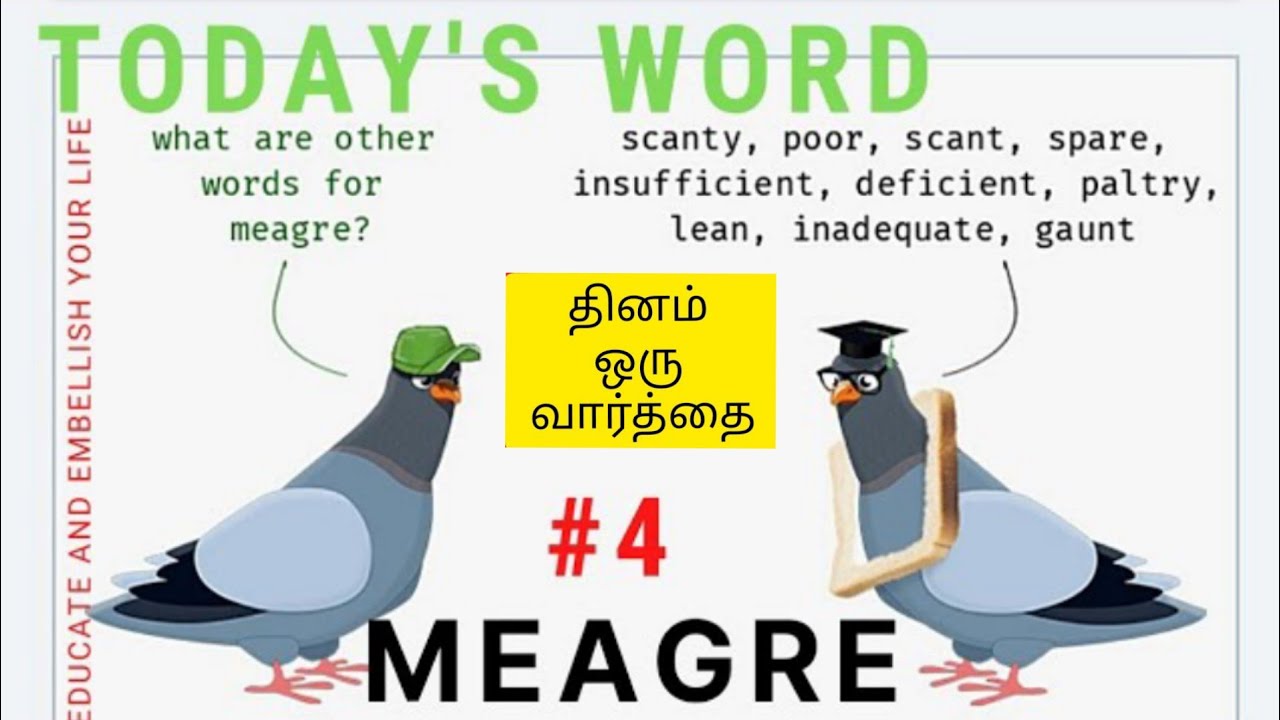Meagre Today s Word Meaning Usage And Sentence Examples meagre-today-s-word-meaning-usage-and-sentence-examples