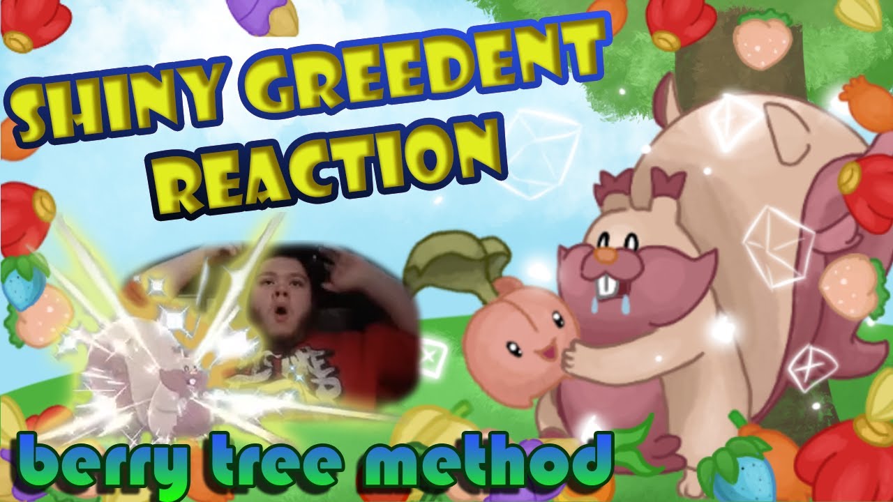 Live Shiny Greedent Berry Tree Method! Extrelmy Rare Shiny + Magikarp ...
