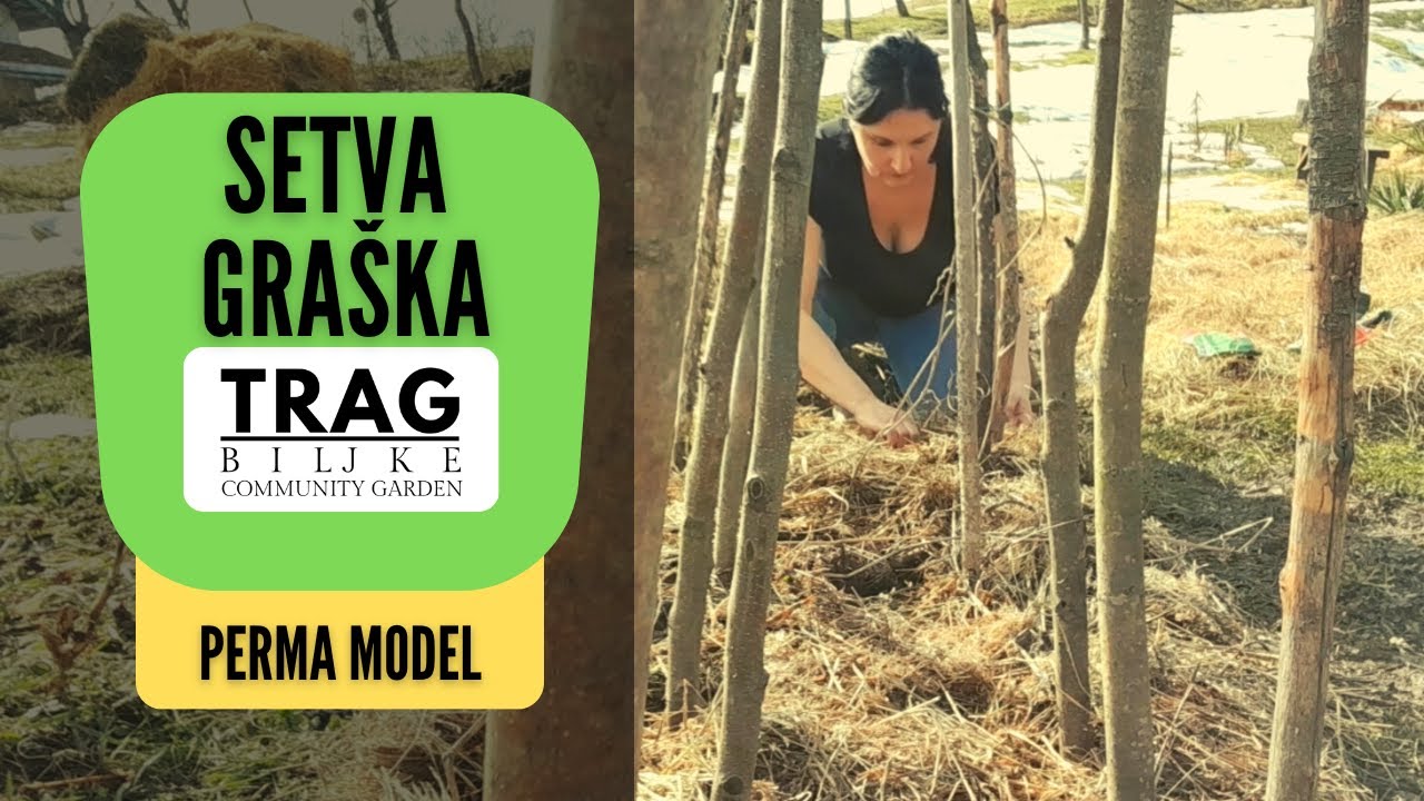 SETVA GRAŠKA U PERMA MODELE - YouTube